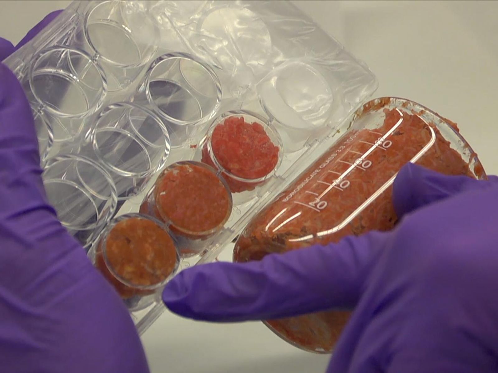 Bad science photos: lab grown meat edition : r/labrats