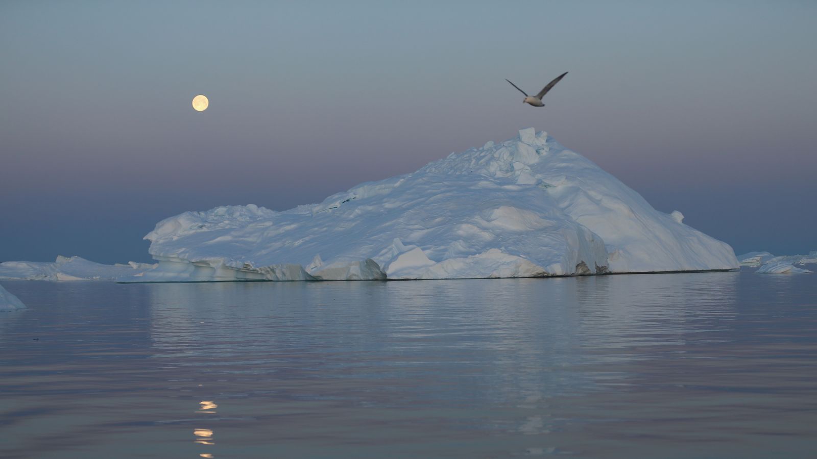 Scientists confirm water ice has been spotted at the moon's poles ...