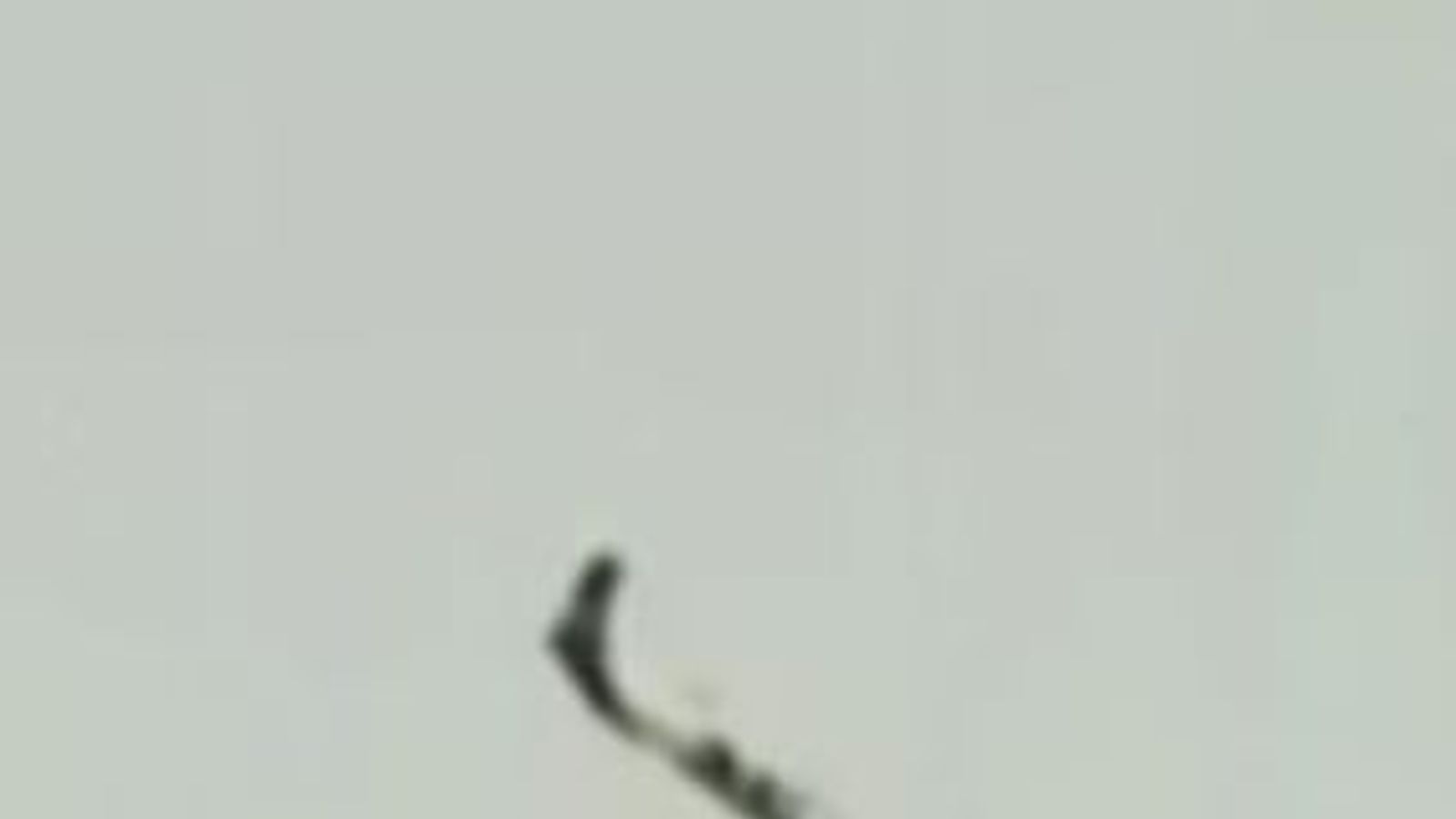 Plane seen diving moments before crash | News UK Video News | Sky News