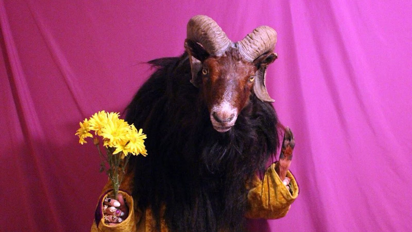 Zardulu the mythmaker to reveal the pranks she's played on you | Ents ...