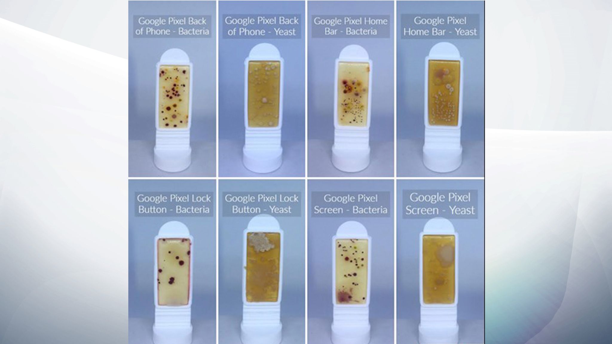 Smartphone screens found to be more than three times dirtier than a ...