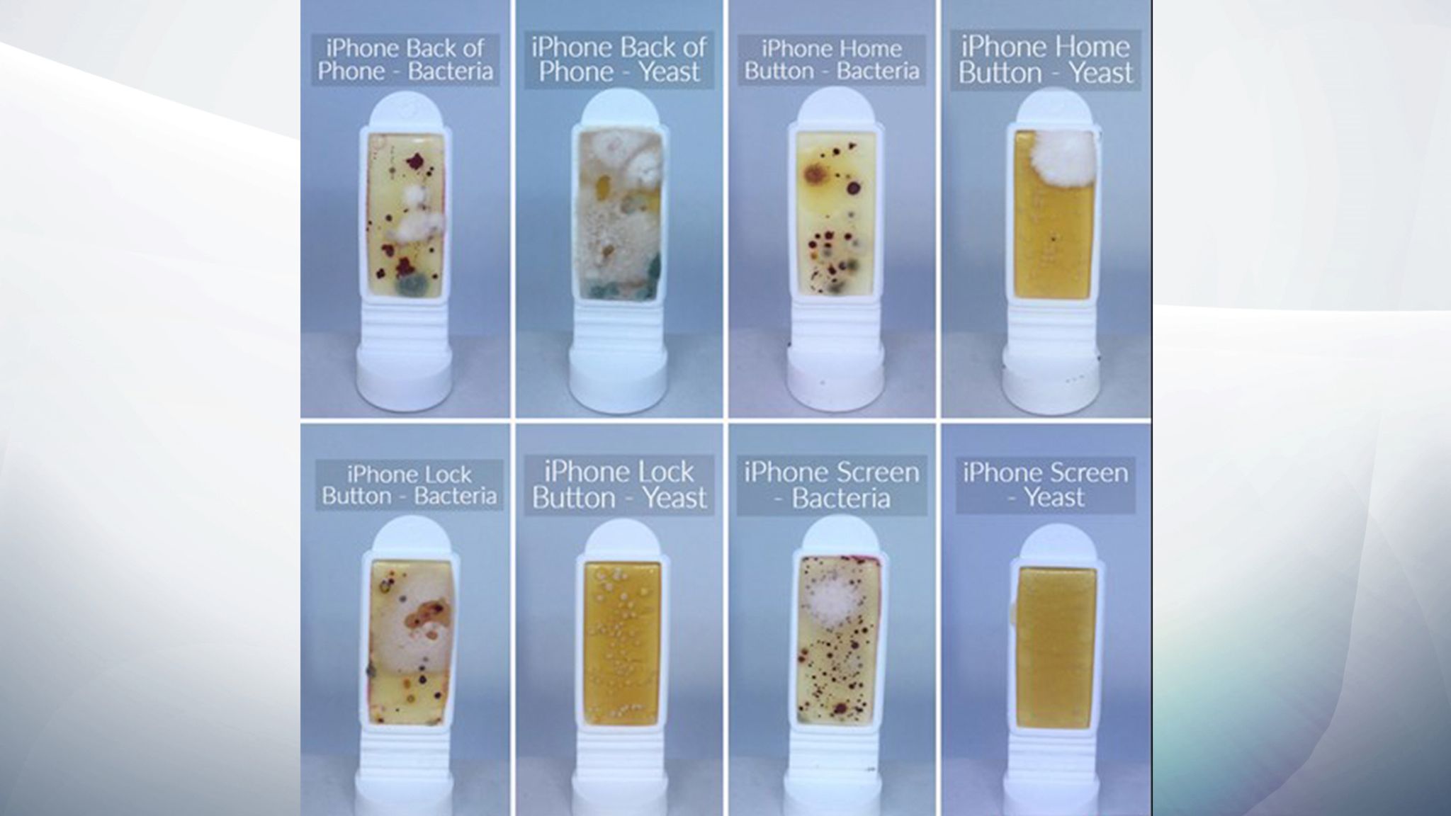 Smartphone screens found to be more than three times dirtier than a ...