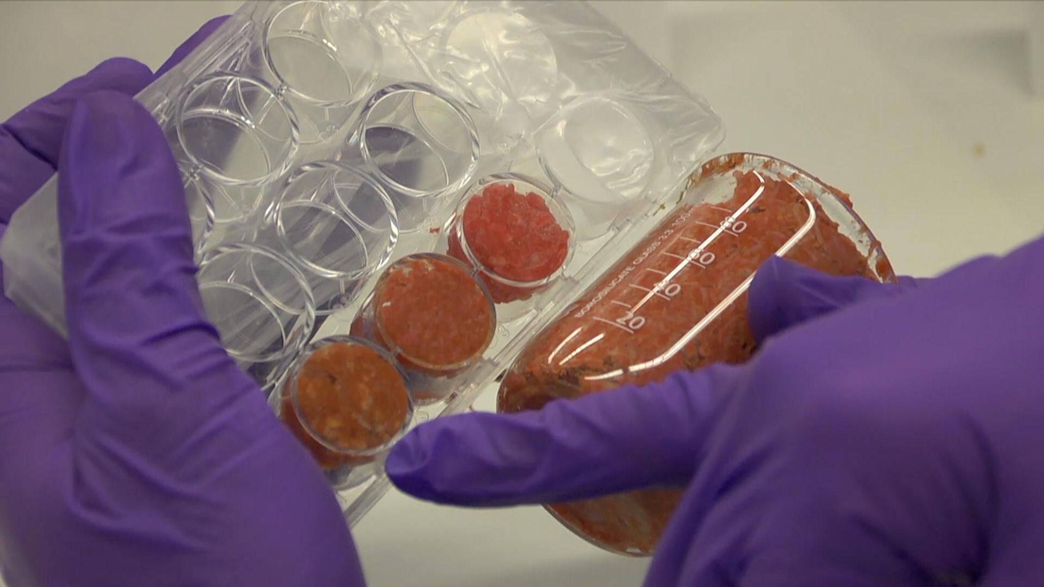 Lab-grown meat is the future and environmentally friendly says think ...
