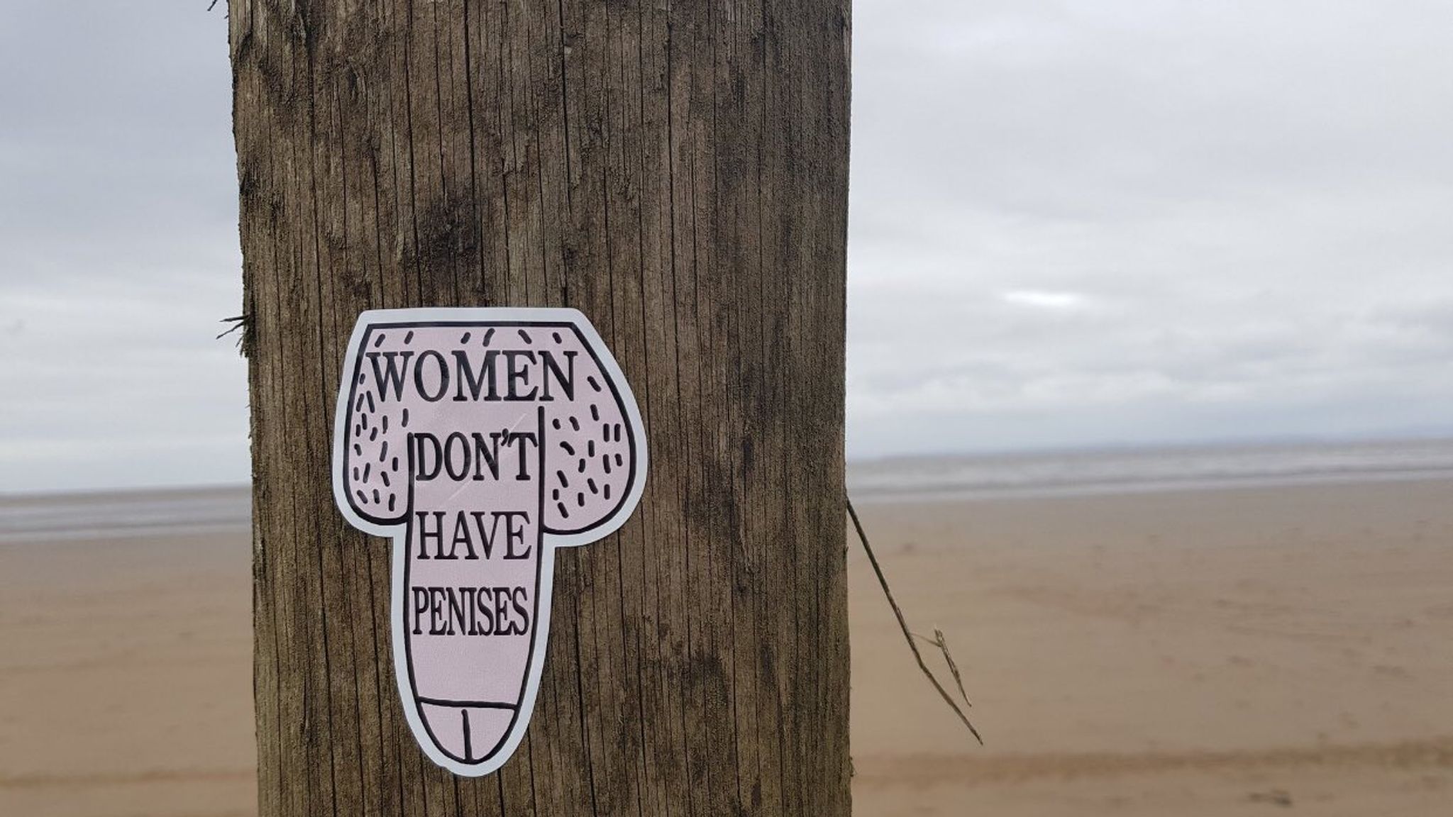 Liverpool ReSisters criticised for 'anti-trans' sticker stunt on Crosby ...