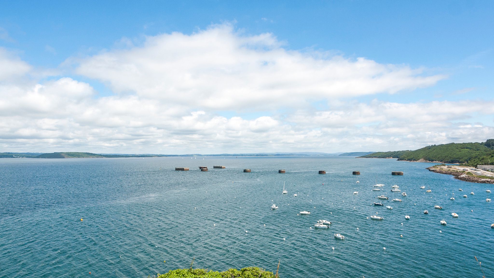 Frisky dolphin forces authorities to ban swimming off west coast of ...