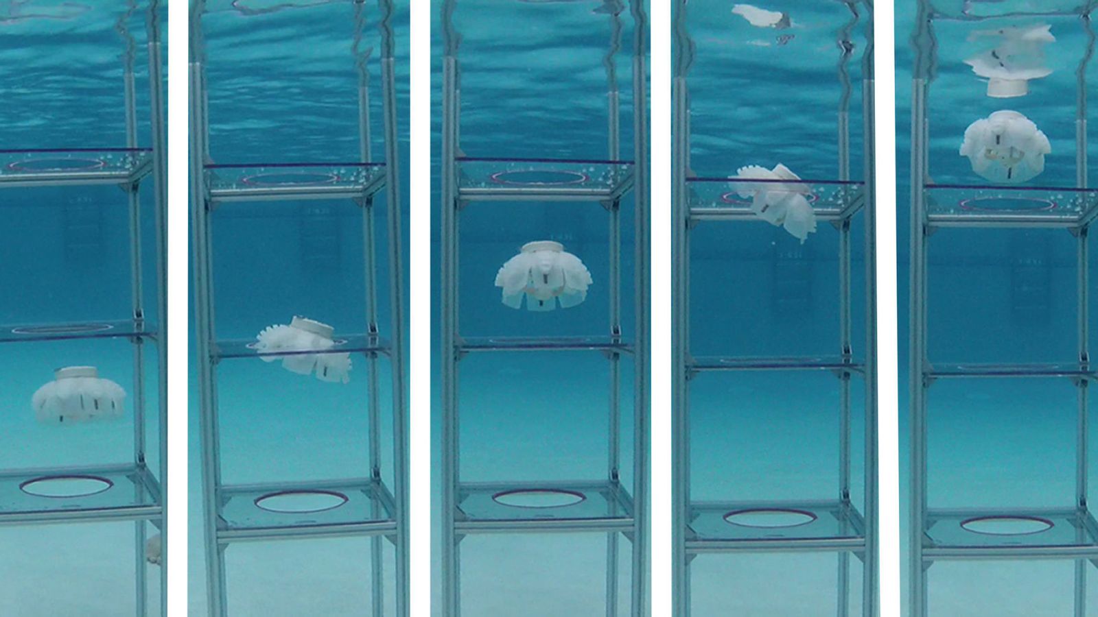 Jellyfish robots to be used to monitor fragile coral reefs | UK News ...