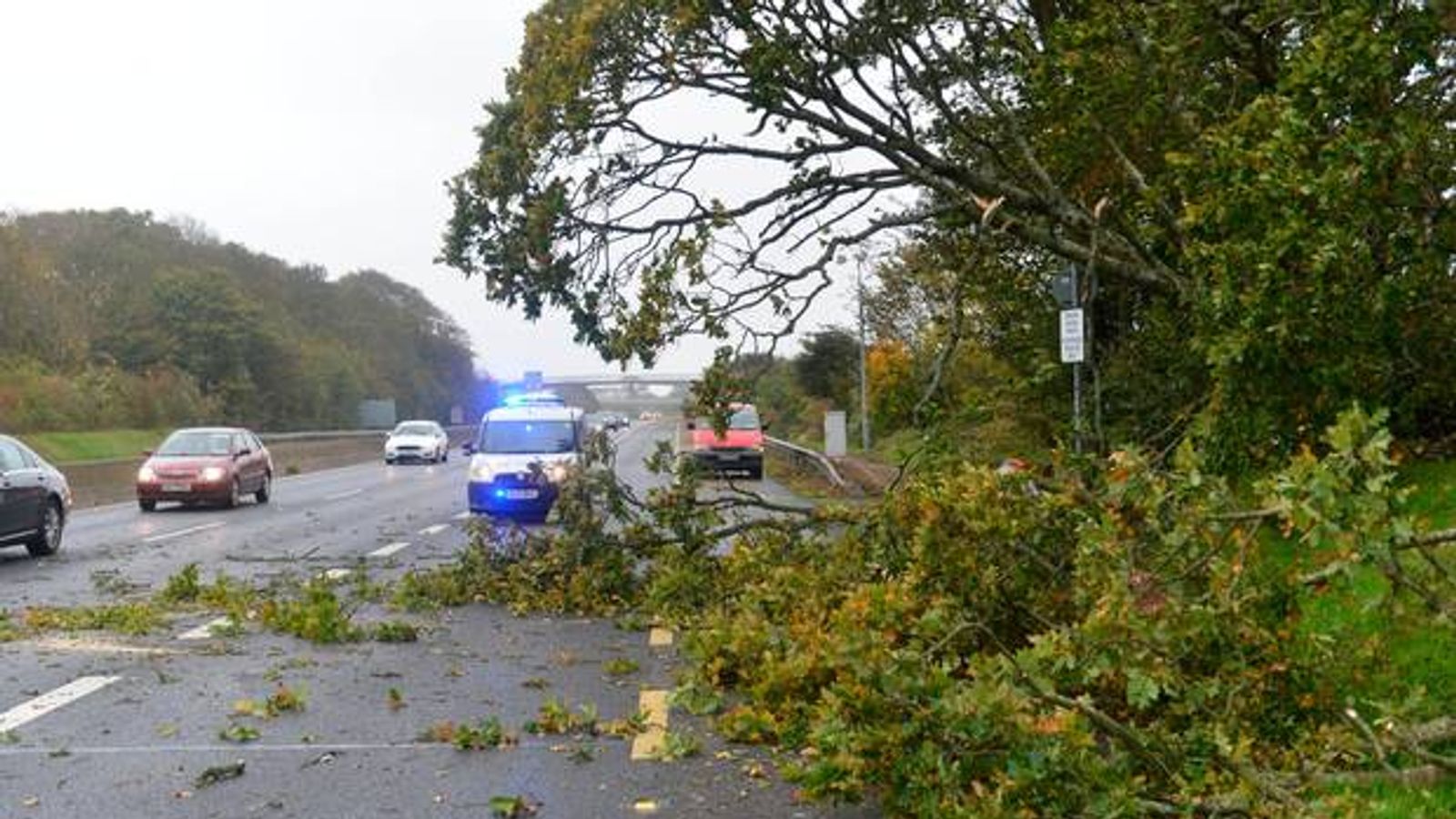 Storm Ali's trail of destruction as gales and heavy rain sweep through ...