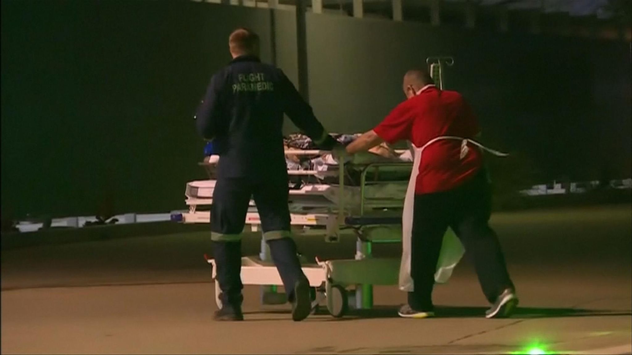 Sharks killed after attacks on woman and girl in the Great Barrier Reef ...