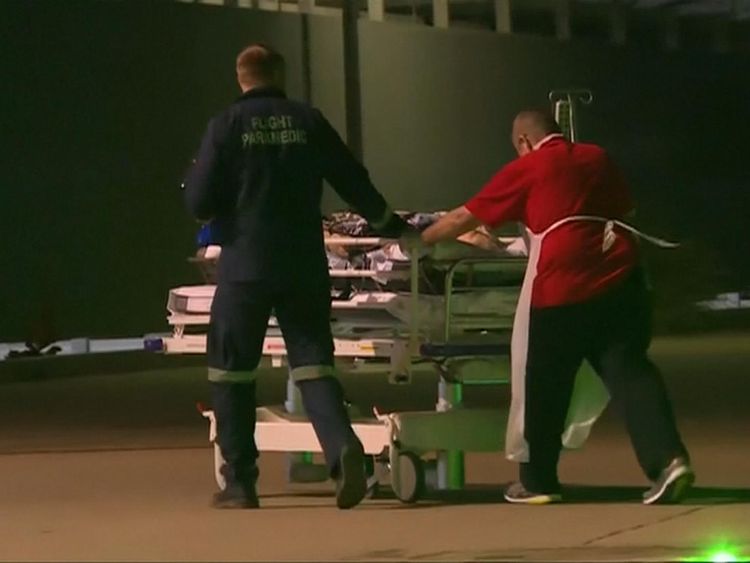 Sharks killed after attacks on woman and girl in the Great Barrier Reef