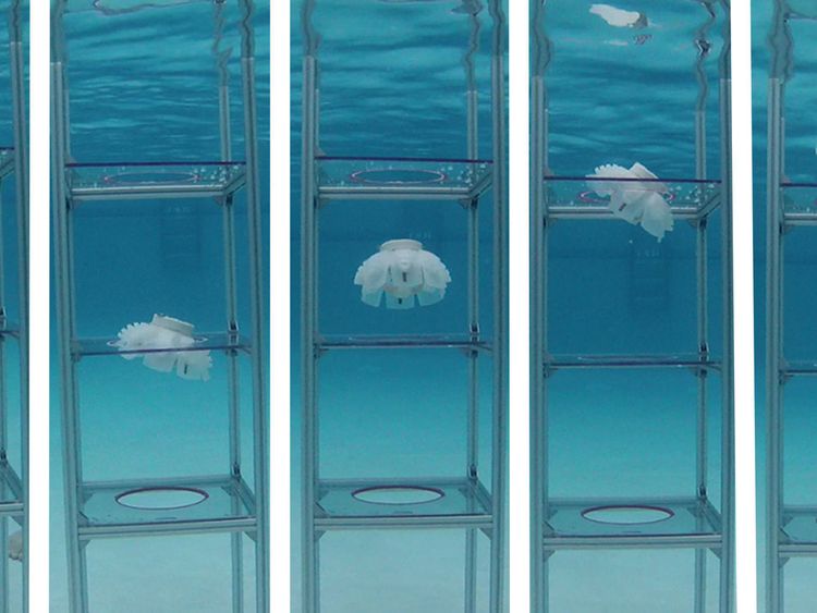 Jellyfish robots to be used to monitor fragile coral reefs