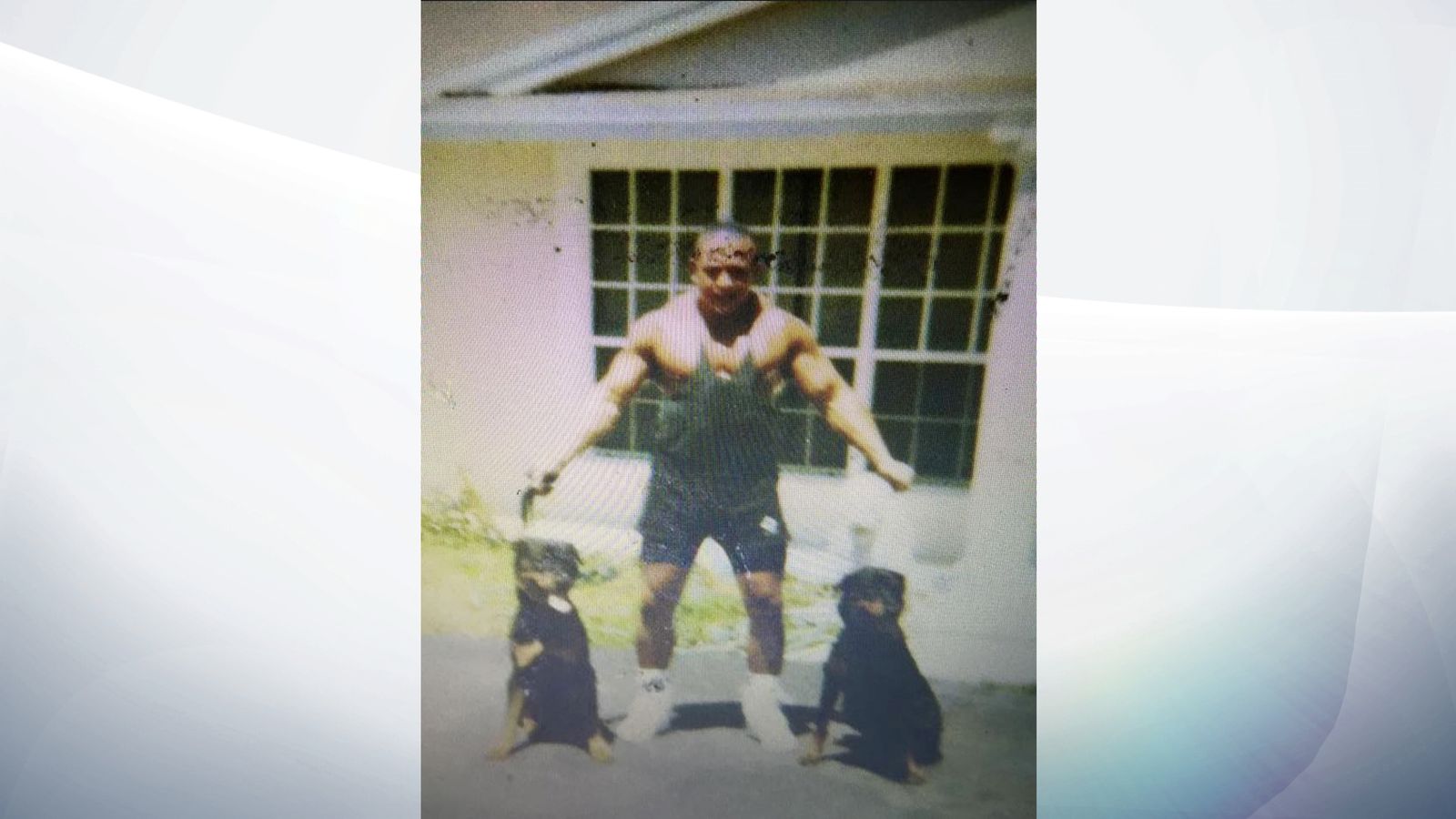 Male strippers, body building and trolling: Who is bomb suspect Cesar ...