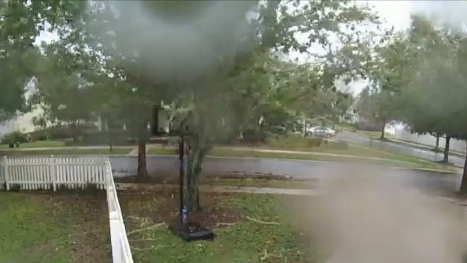 Hurricane Michael: Tree uprooted in Florida garden | US News | Sky News