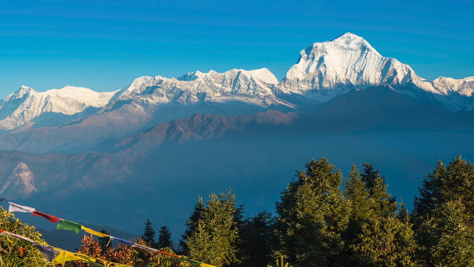 Nine climbers dead on Nepal's Mount Gurja after storm hits camp | World ...