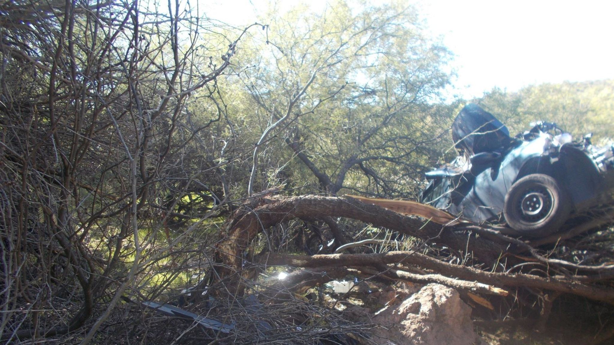 Woman survives six days in Arizona desert after car lands on tree | US ...