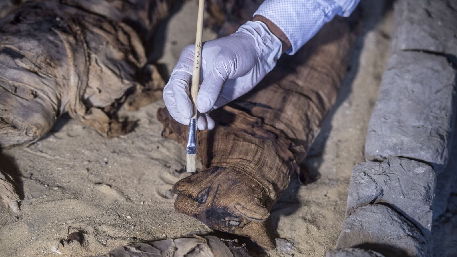 Dozens of cat mummies discovered in ancient Egyptian tombs | World News ...