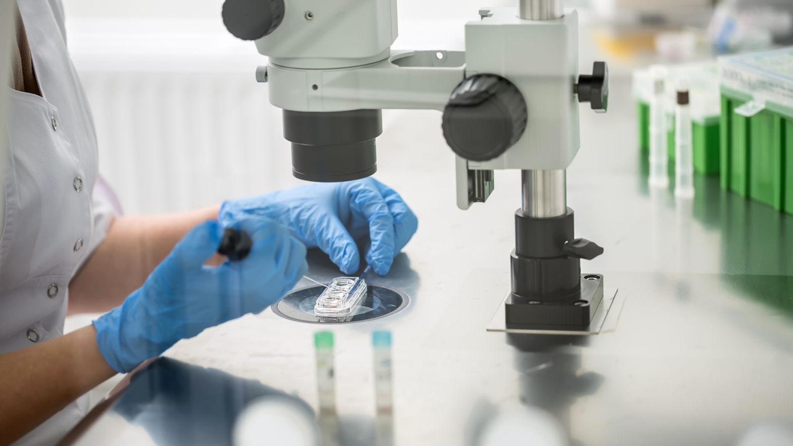 Chinese scientists jailed over 'world's first gene-edited babies ...