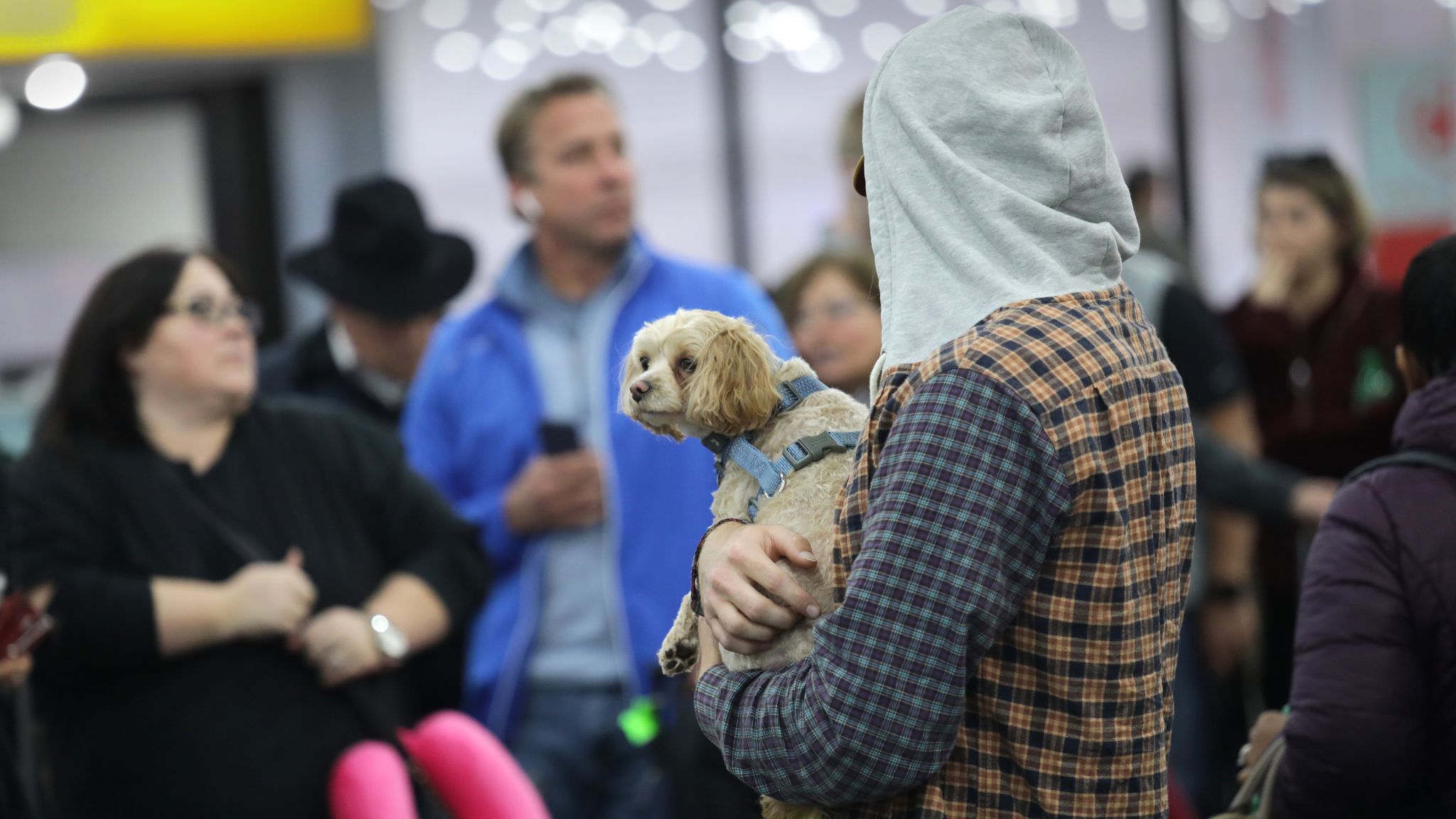 Cold turkey: New York set for chilliest Thanksgiving in century | US ...