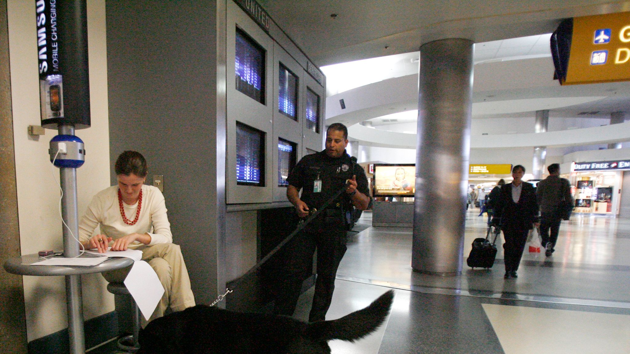 Sniffer dogs retire early in the US as drug dealers find loophole ...