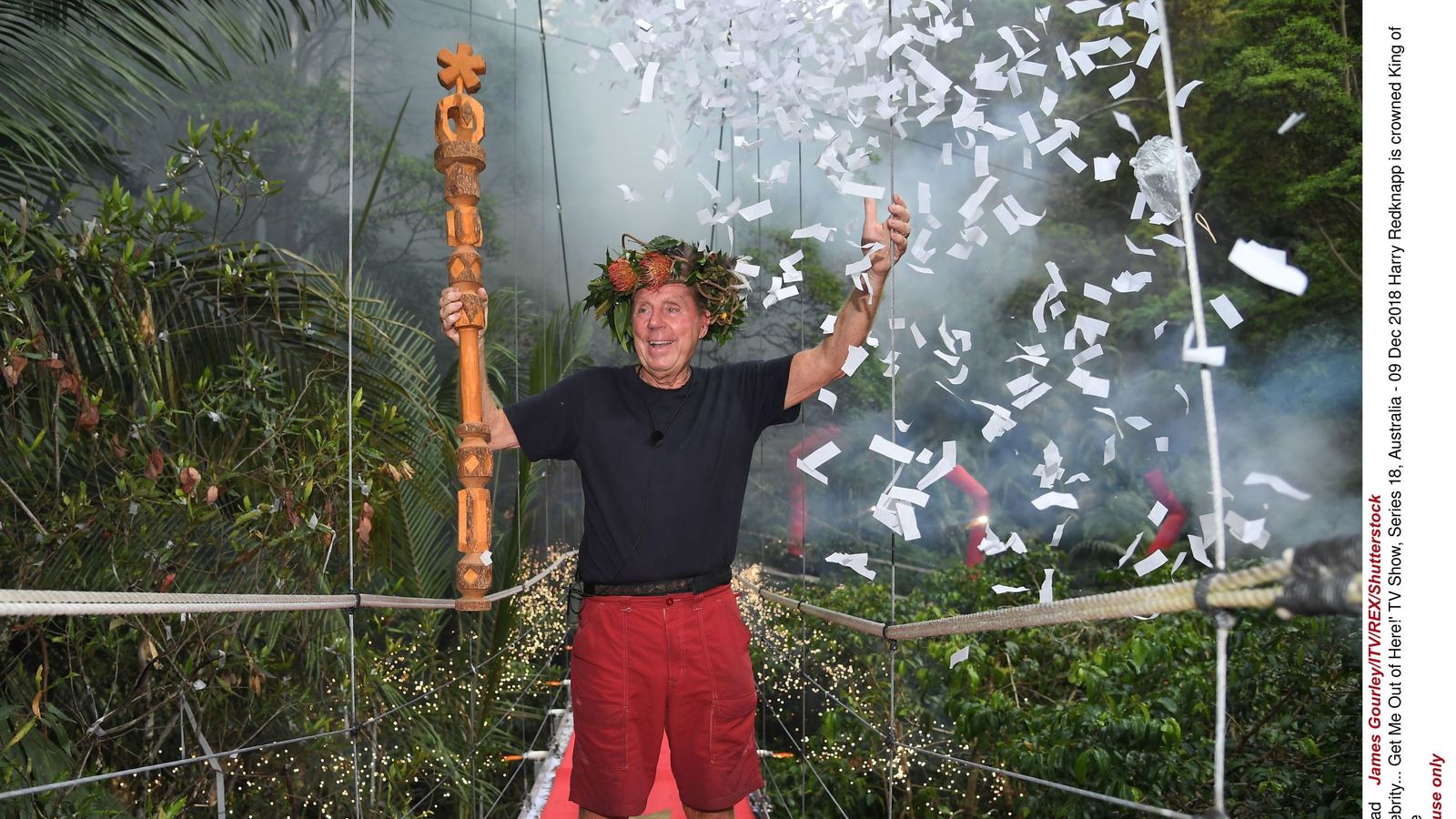 Harry Redknapp crowned king of the jungle on I'm A Celebrity... Get Me ...
