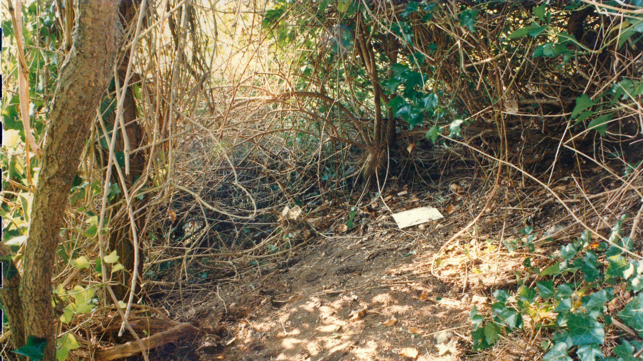 'Babes in the wood' murderer Russell Bishop found guilty 31 years after ...