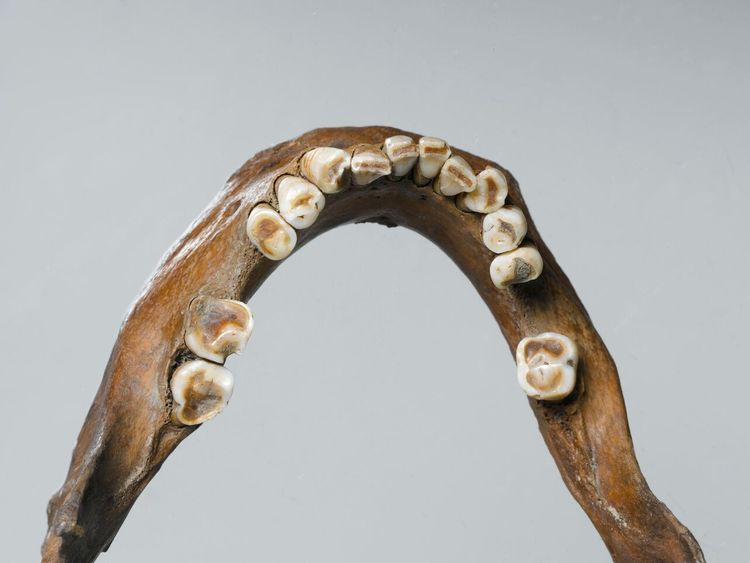 Who is man in the mud? Mystery of booted skeleton found in River Thames