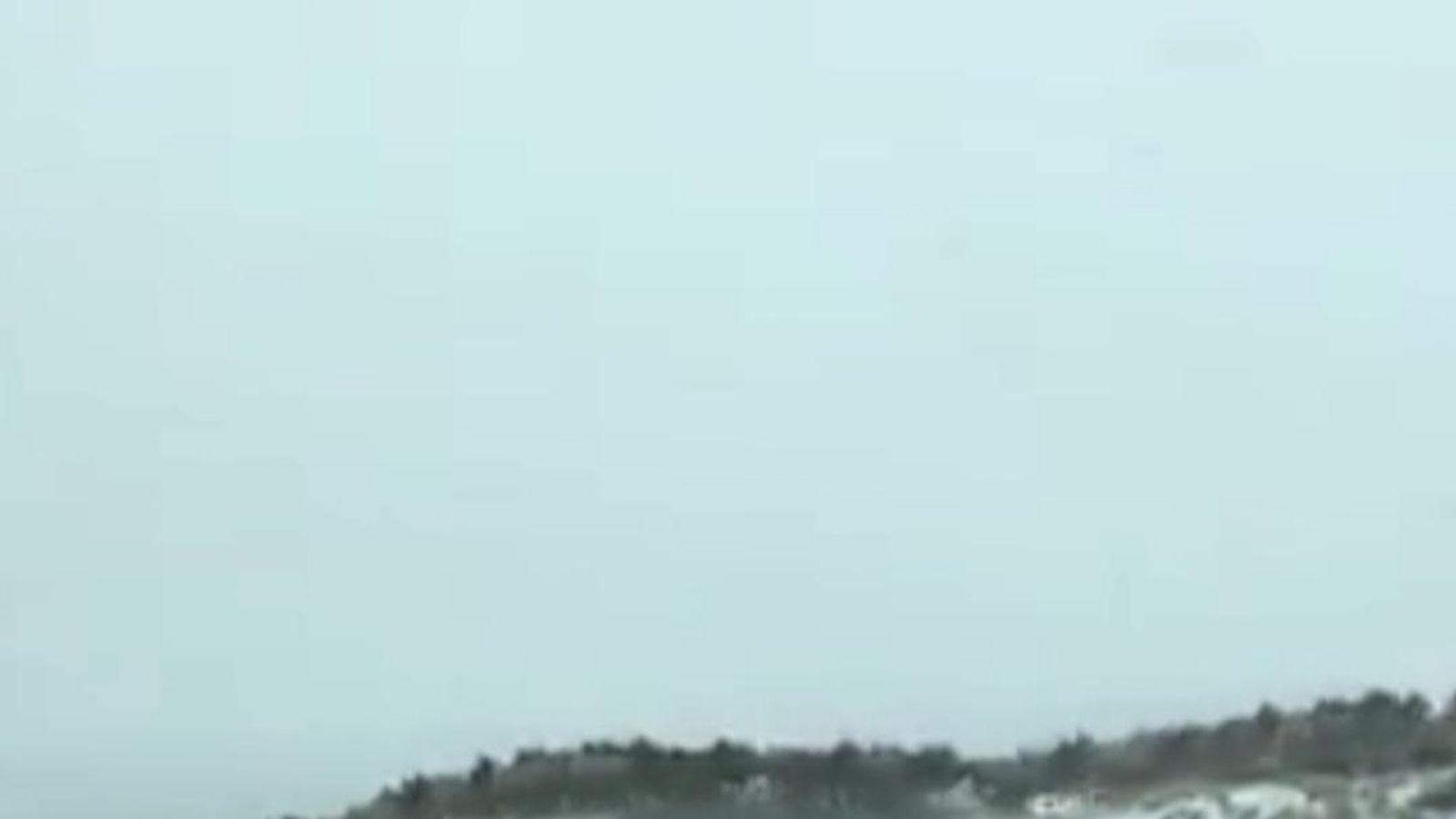 Massive herd of elk stampede across a road in Washington state | World ...