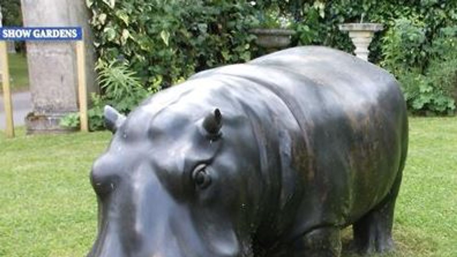 Thieves steal 'extremely heavy' hippo sculpture in Kent | UK News | Sky ...