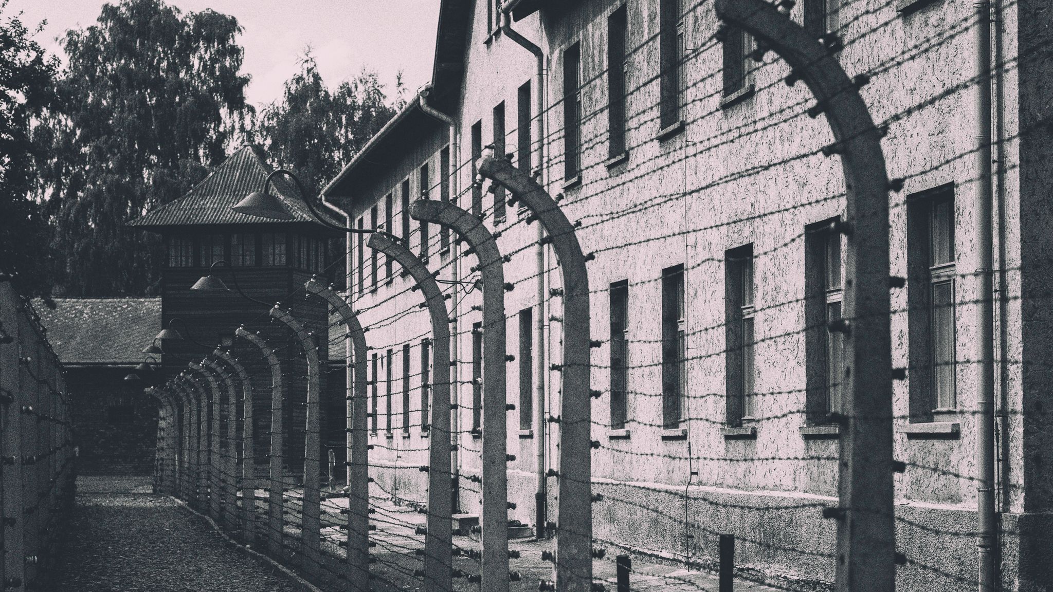 One in 20 UK adults does not believe Holocaust took place - survey | UK ...