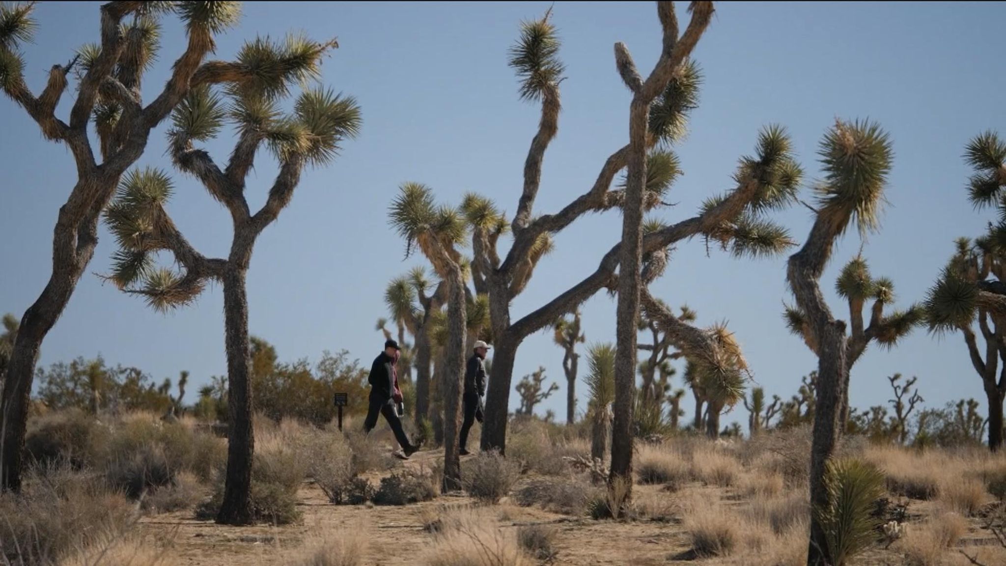 Anarchy in the USA: Parks a free-for-all amid partial government ...