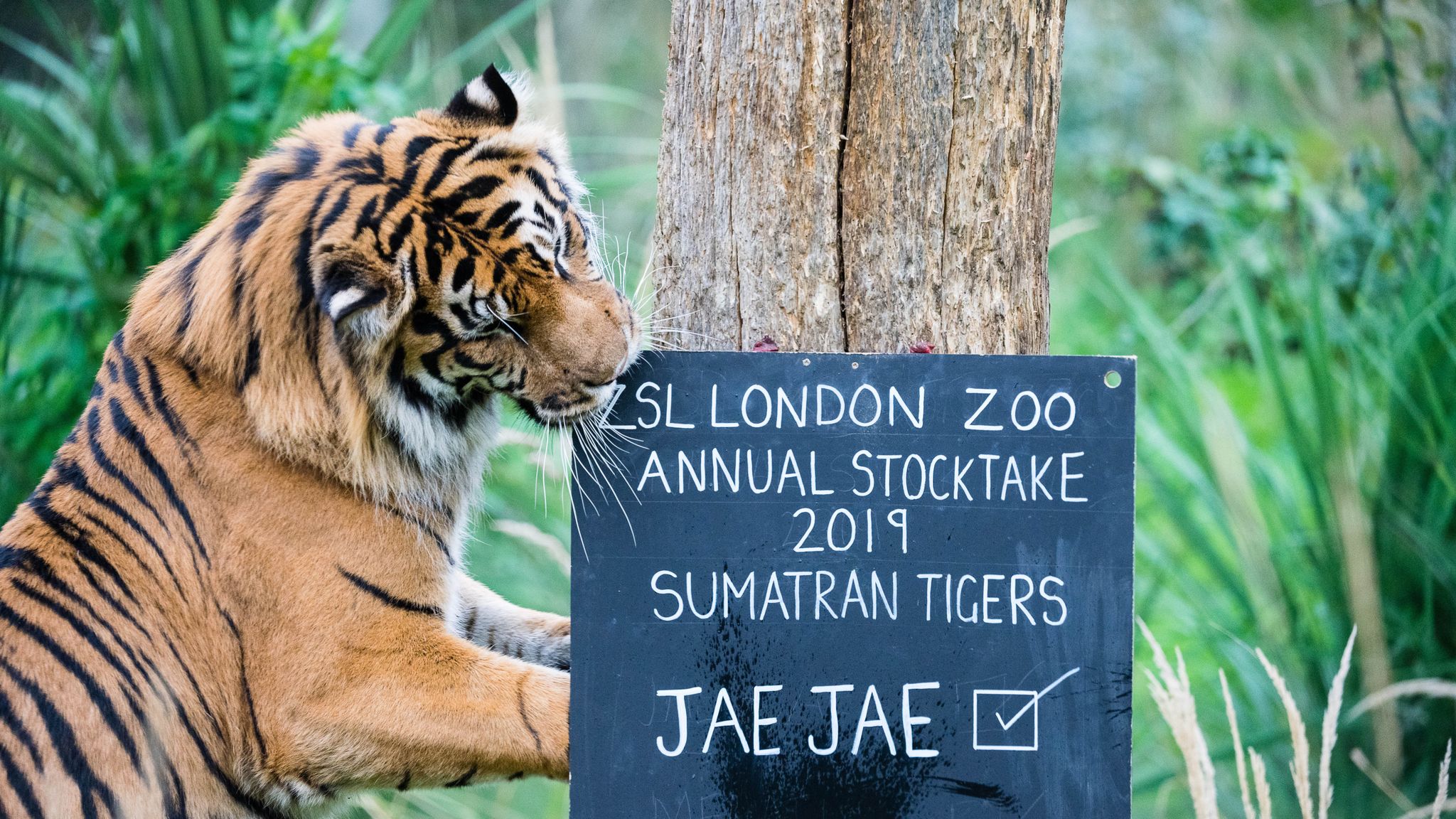 All present and correct? London Zoo starts annual stocktake of 19,000 ...