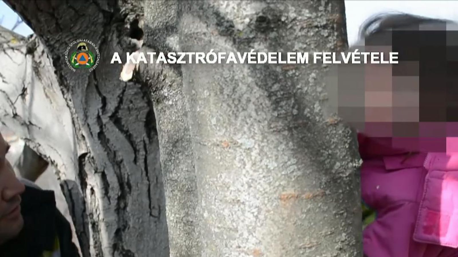 Rescuers save girl trapped in tree in Budapest | World News | Sky News