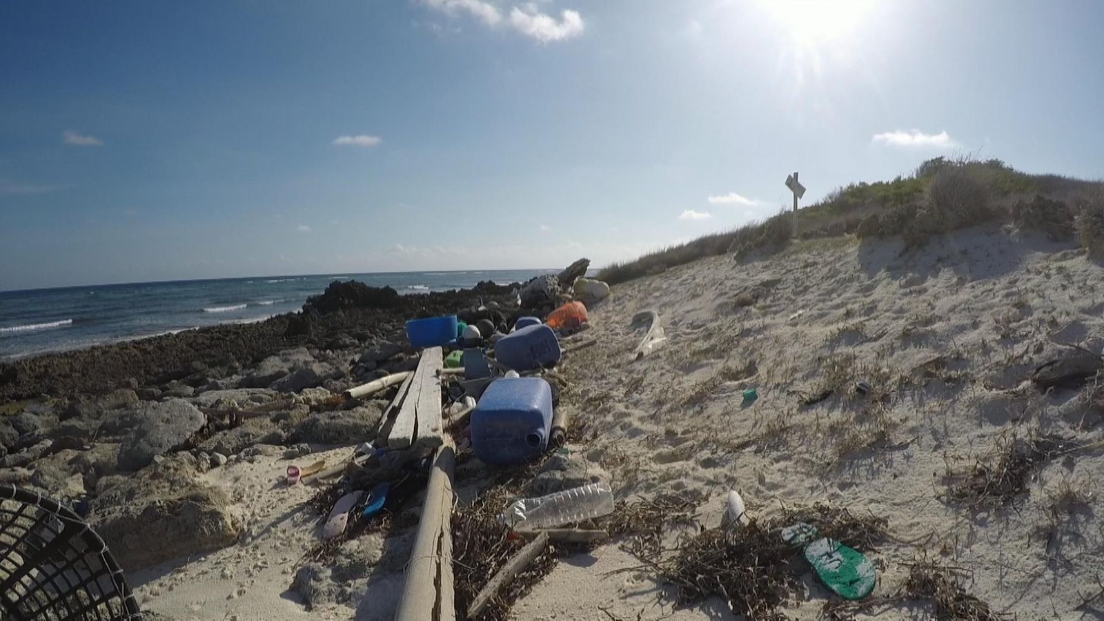 Plastic pollution: Flip-flop found in poo of endangered Indian Ocean ...