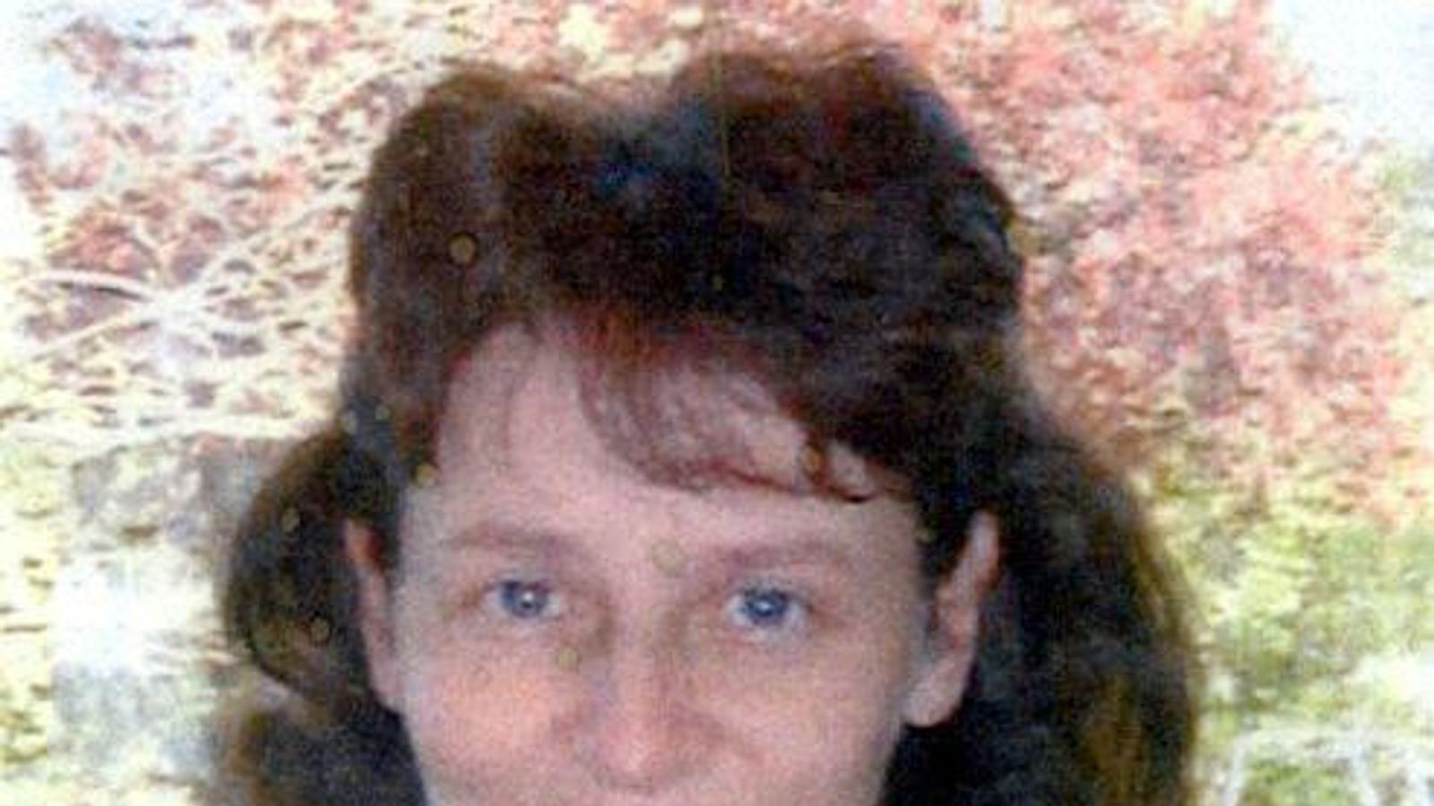 Linda Razzell: Police search field after tip-off in possible link to ...