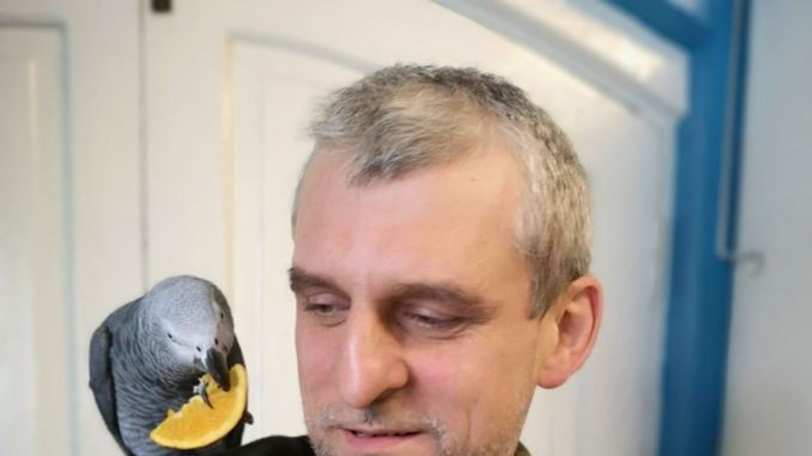 Slovak-speaking parrot found on airport runway reunited with owner | UK ...