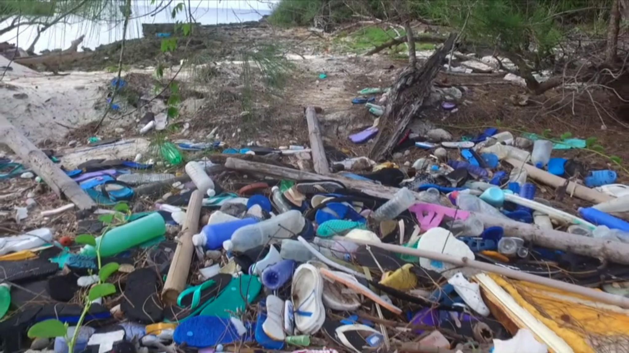 Plastic pollution: Flip-flop found in poo of endangered Indian Ocean ...