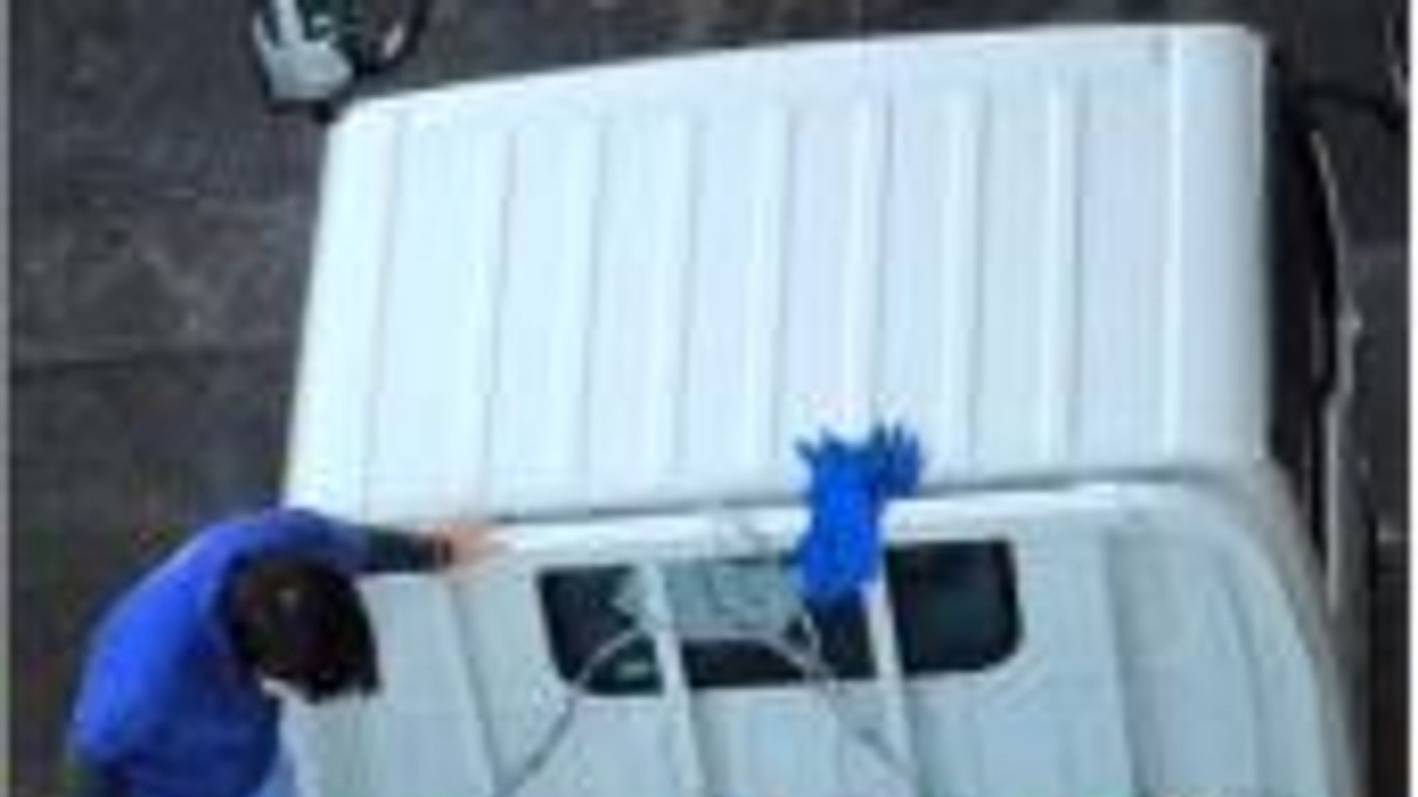 Dead deep-sea oarfish spark earthquake and tsunami fears in Japan ...