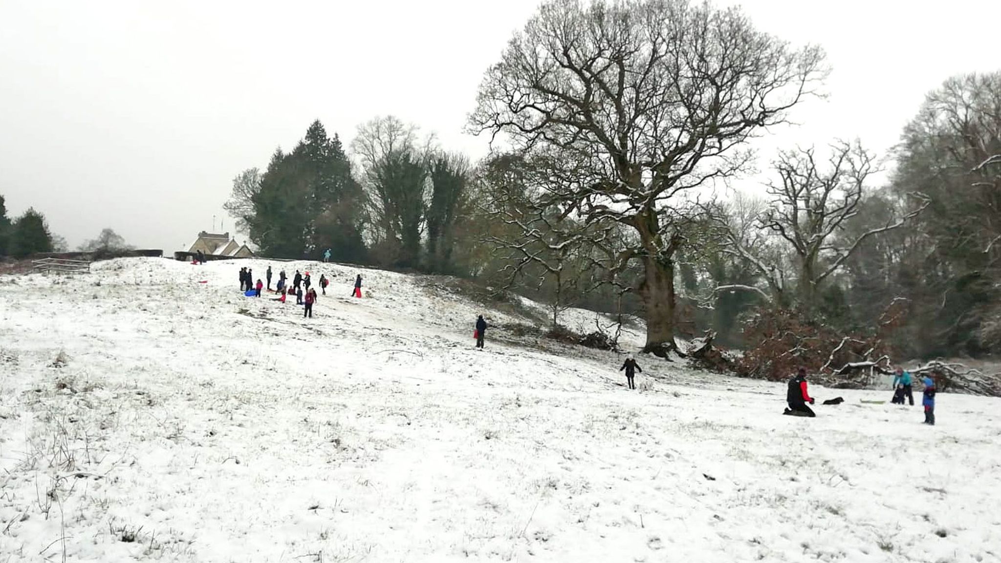 Freezing weather: How your region is affected | UK News | Sky News
