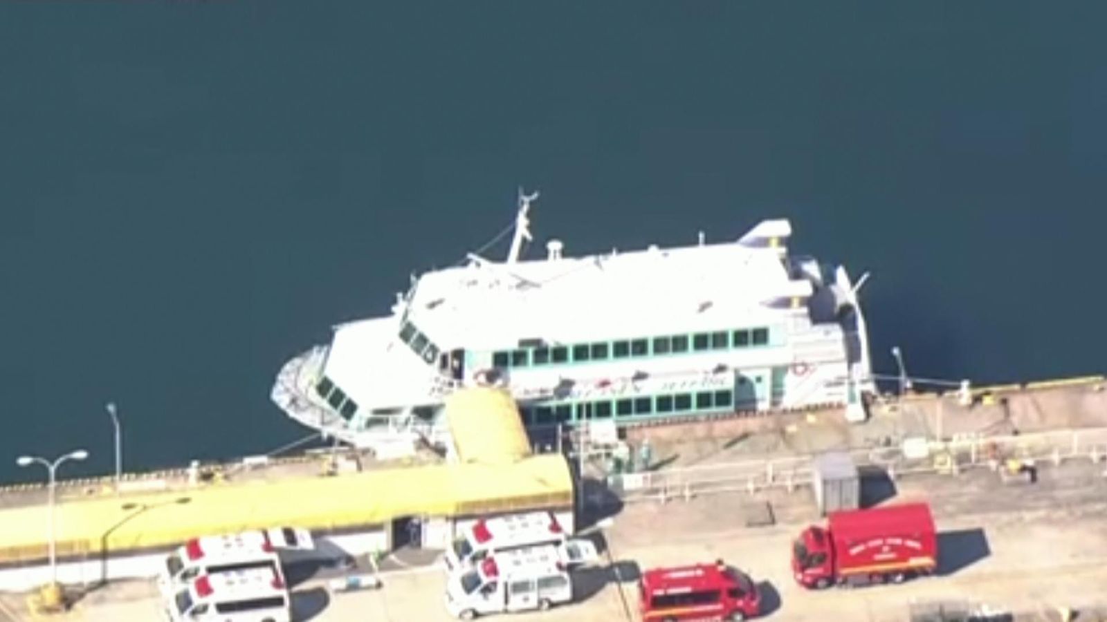87 injured after ferry 'may have struck a whale' off Japan's Sado ...
