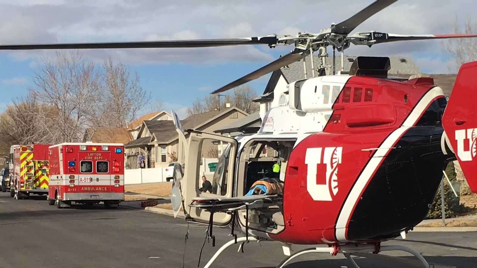 Thousands back call to spare dog which ate Utah boy's hand | US News ...