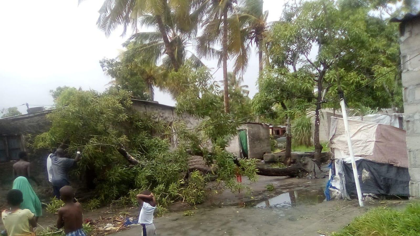 Cyclone Idai: Aid workers struggle as 12,000 homes and schools ...