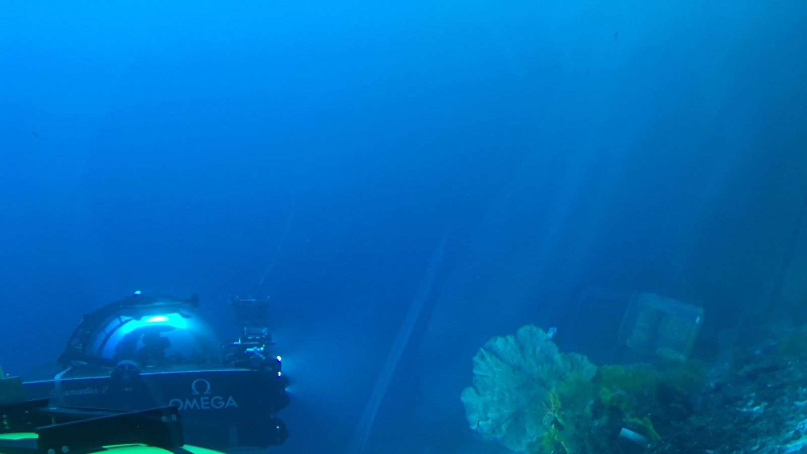 Deep Ocean Live: Our oceans are worth fighting for | Climate News | Sky ...