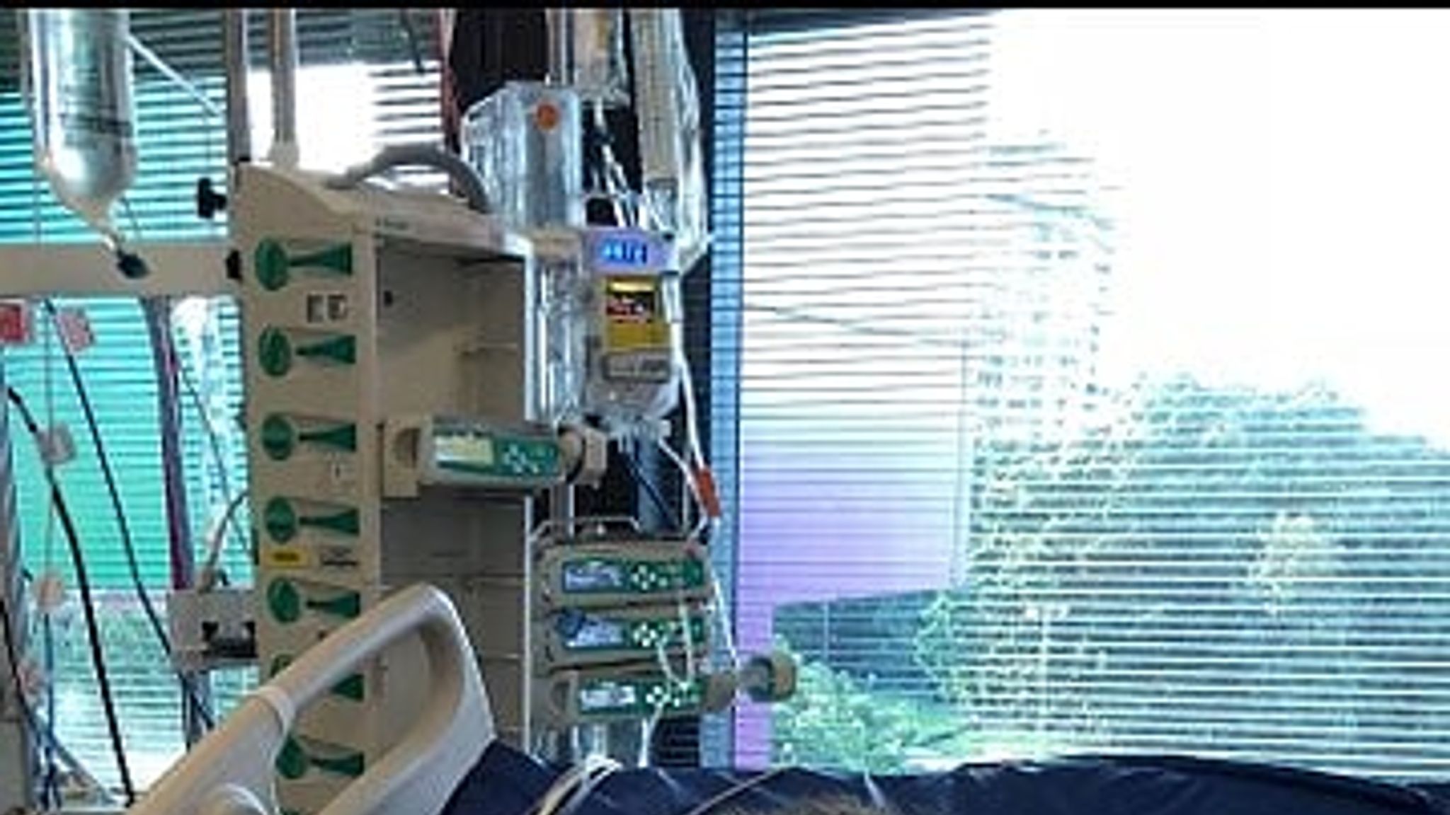 Boy crushed when fallen tree bounced back meets his rescuers | World ...