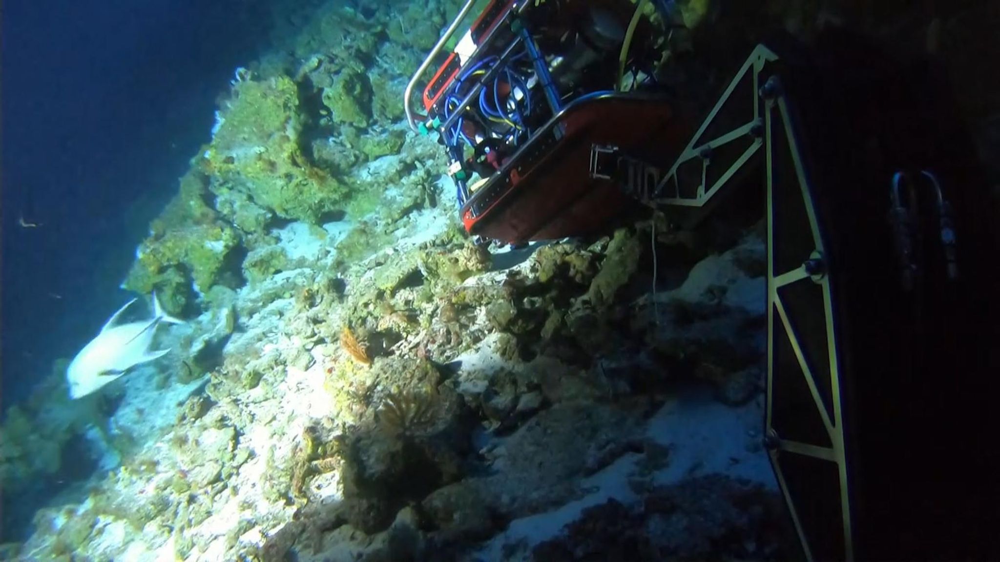 Deep Ocean Live: Rescuers save mini-submarine which was stranded on ...