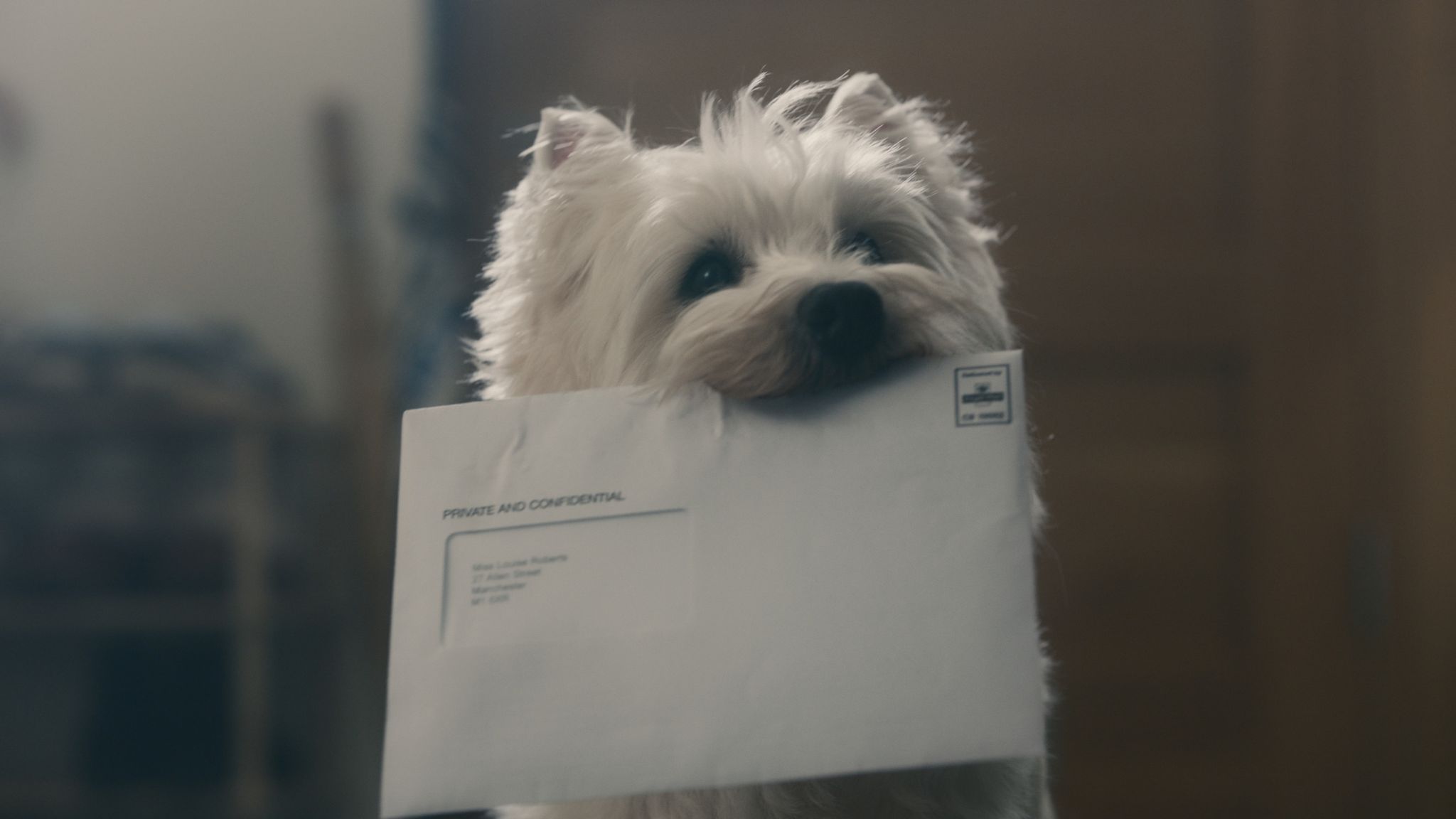 Cervical cancer: What to look for and why to go to a smear test | UK ...