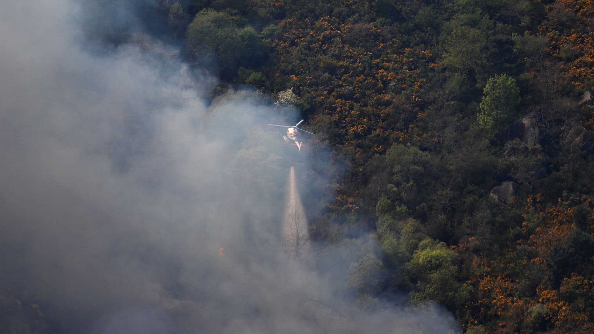 Portugal wildfires: Country on high alert after soaring temperatures ...