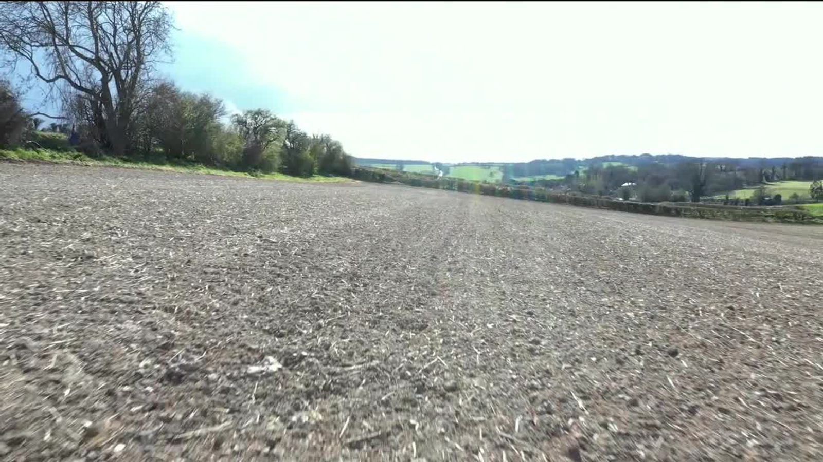 Brexit tariff fears shake UK cereal growers | Money News | Sky News