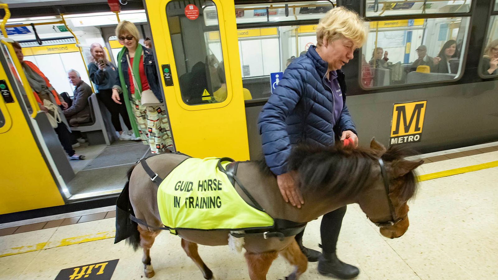 UK's first guide horse prepares for London job by taking the Metro | UK ...