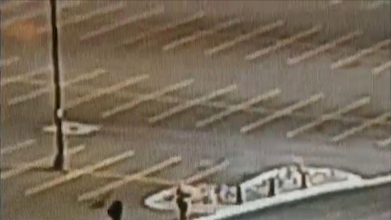 Aggressive goose attacks woman in US university car park | Offbeat News ...