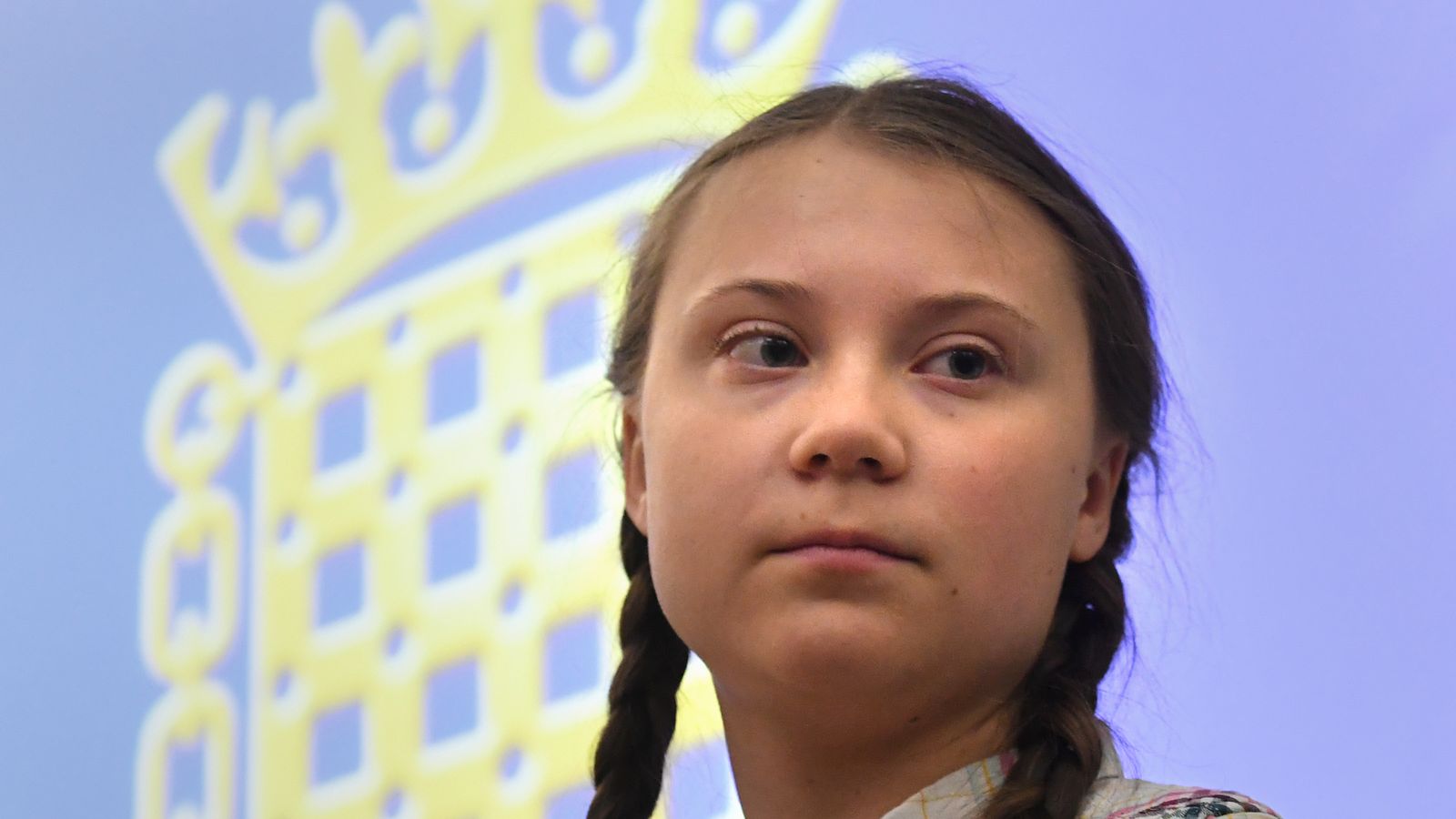 Teen climate change activist Greta Thunberg tells MPs: 'Our future's ...