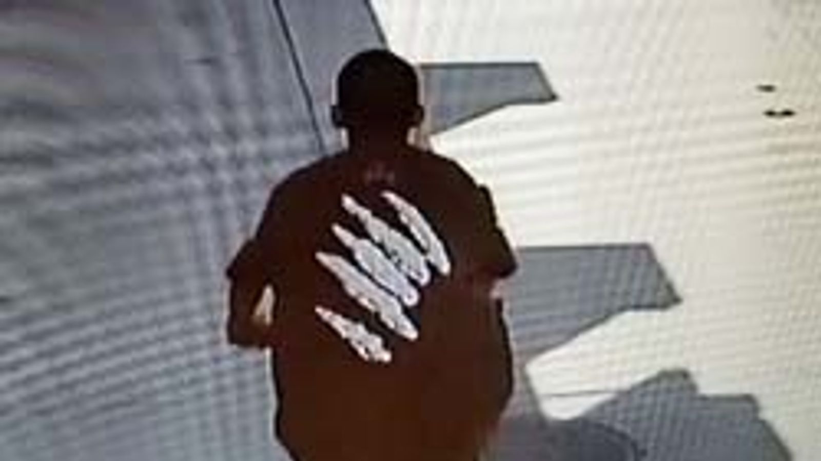 Cycling slasher arrested after four people targeted in Los Angeles | US ...